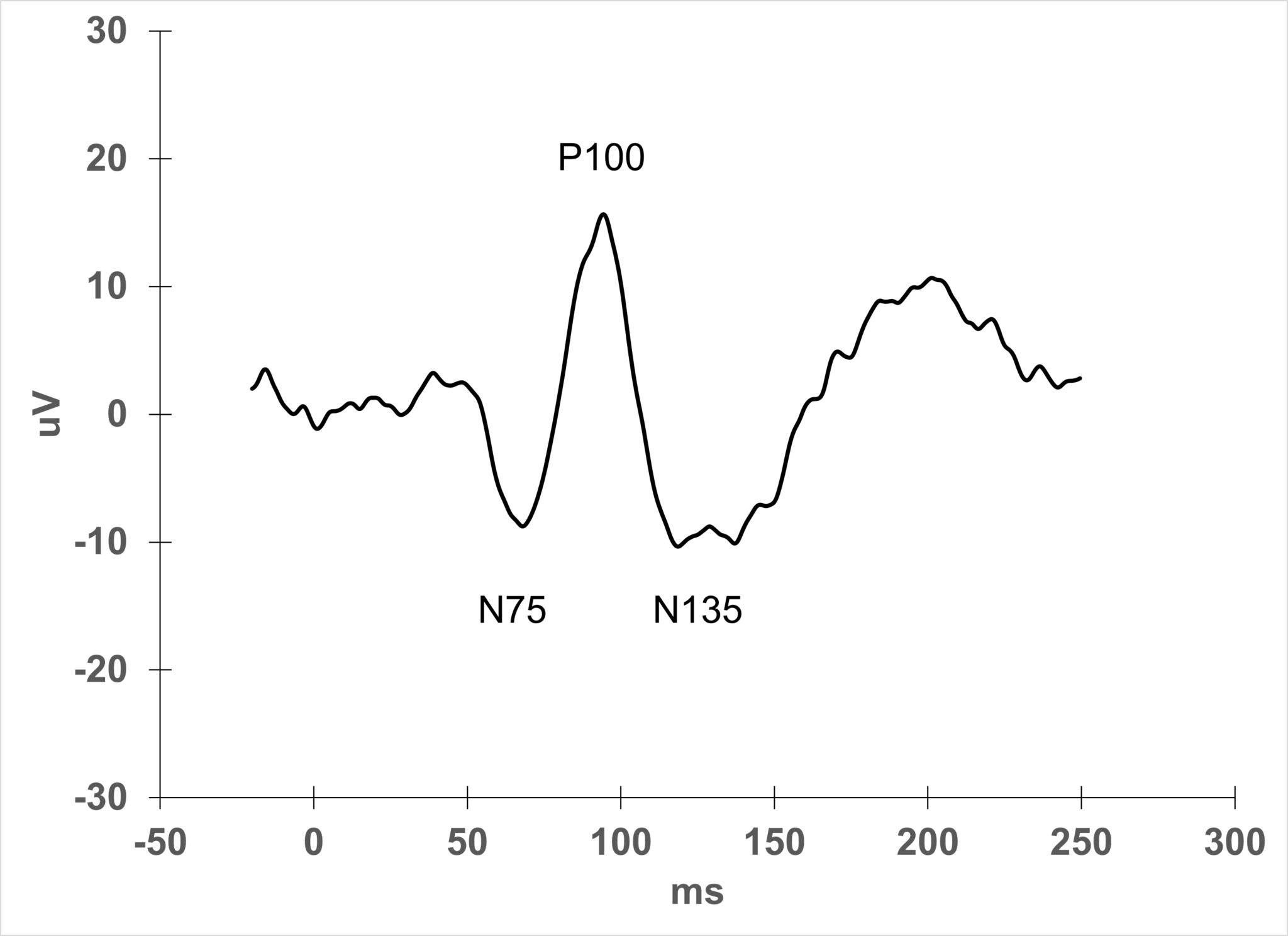 Visually Evoked Potentials (VEP) - Diagnosys LLC